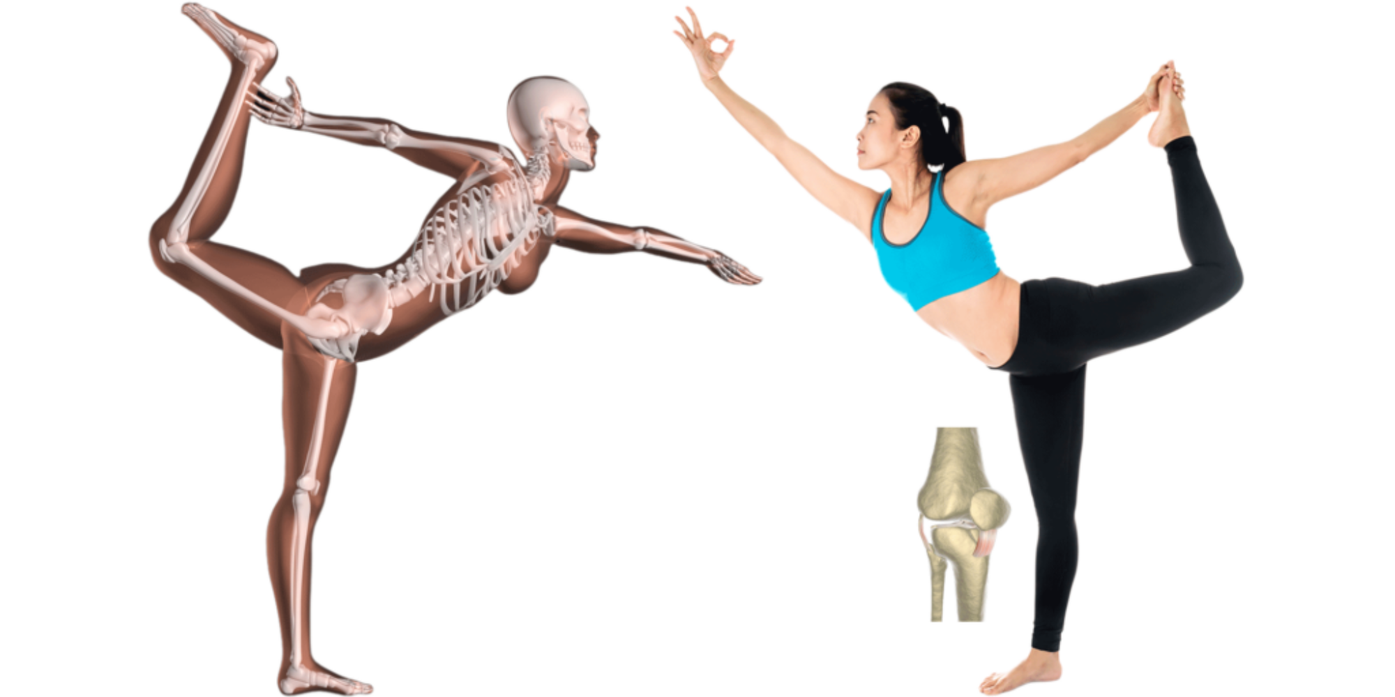 How to Give Our Bones the Best Nutrition - Be NutriSavvy