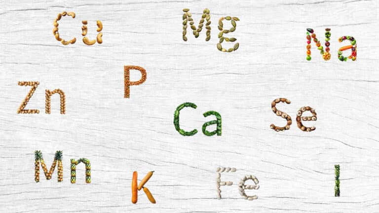 Minerals: Benefits and Plant-Based Sources - Be NutriSavvy